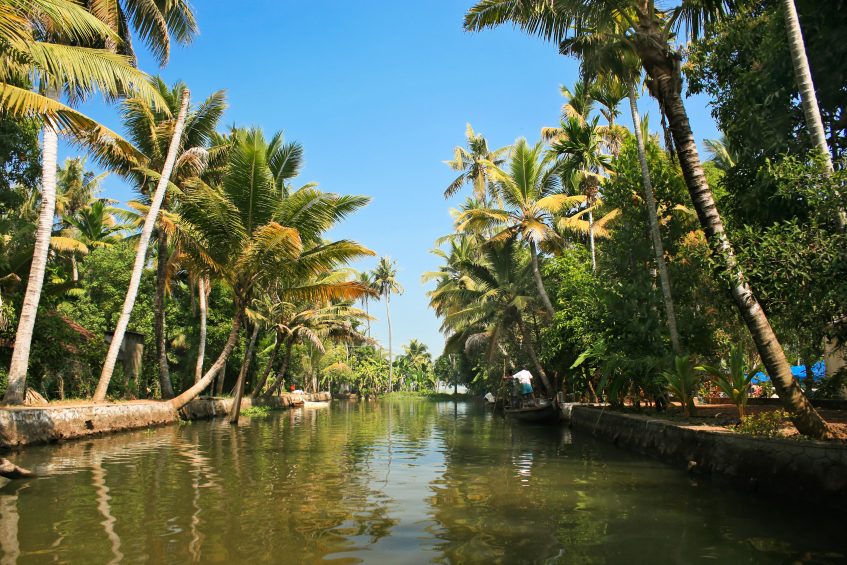 Le Kerala, une perle en Inde du Sud | Passion Monde