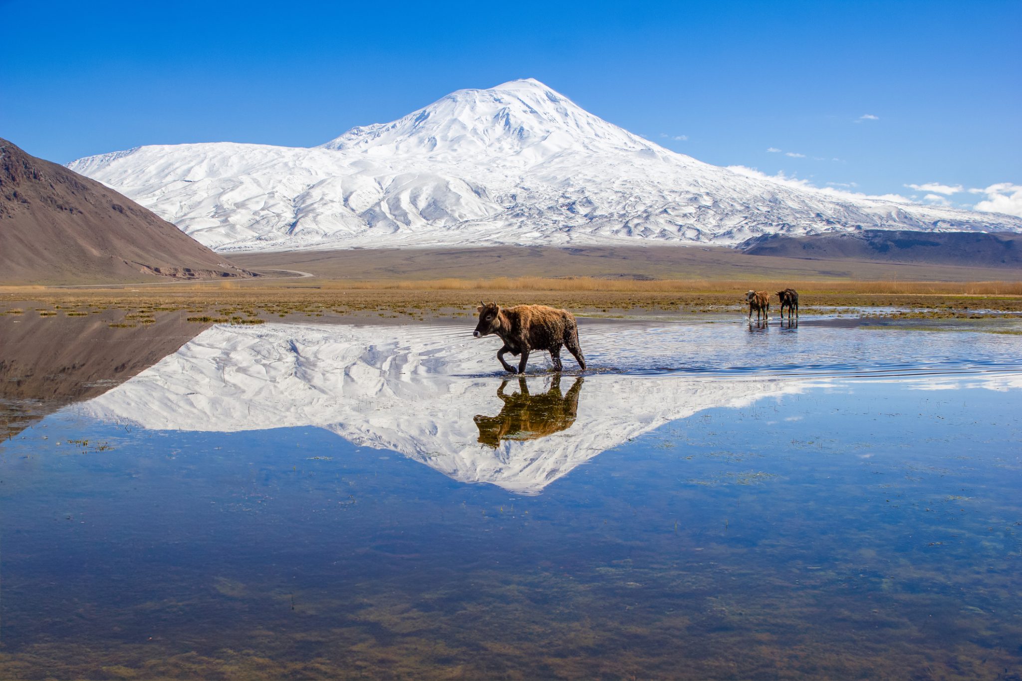Le Mont Ararat : Légende et Histoire au sommet de l'Arménie | Passion Monde